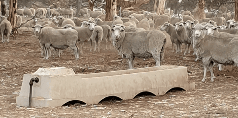 All Poly Stock Troughs | Coerco